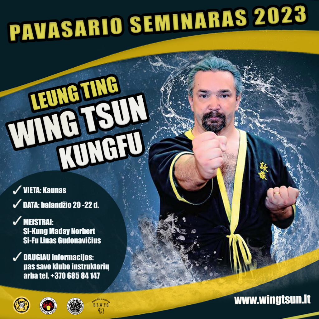 Kinų kovos meno Wing Tsun KungFu seminaras su Si-Kung Maday Norbert ir ...